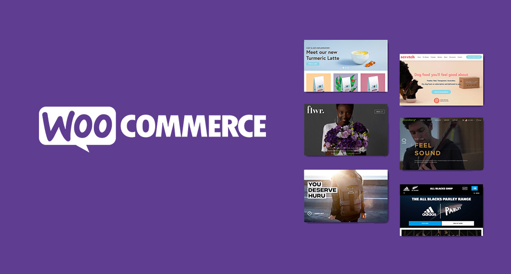 3 Steps To Add A Extra Custom Checkout Field In Woocommerce Scriptfeeds Blog